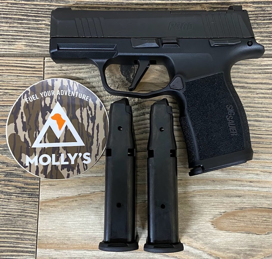 DEMO PENNY AUCTION! Sig Sauer P365 X TacPac 9mm 365X-9-BXR3P-MS-TACPAC ...